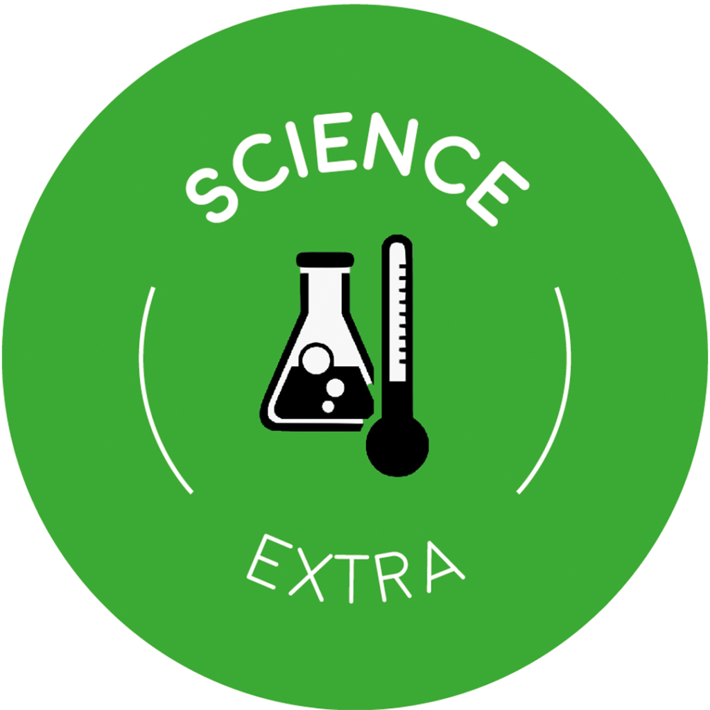 Ashwood Extra - Rawmarsh Ashwood Primary School